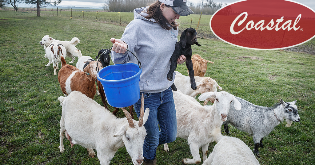 Animals Coastal 101 Pet & Animal Livestock Goats