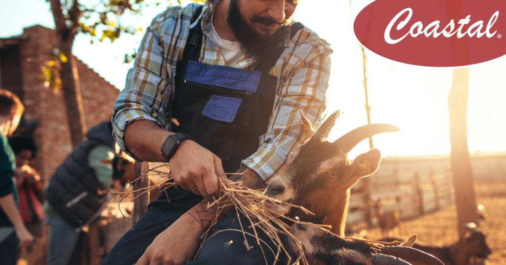 Animals Coastal 101 Pet & Animal Livestock Goats