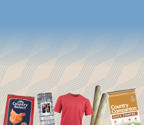 Spring Cyber Sale Main Mobile Image