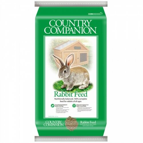 Country Companion | Pet & Animal | Coastal Country